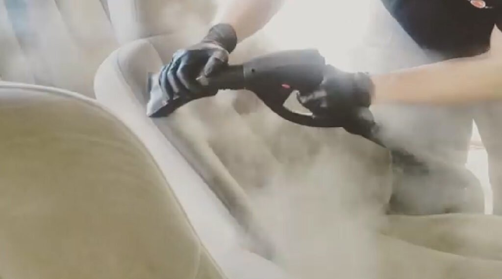 Pet Mess Clean-Up - Onsite Detail